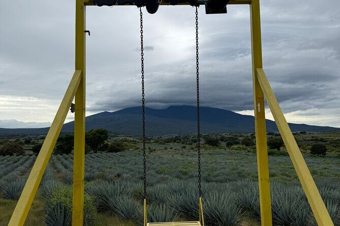 Private Tour to Tequila Distillery and Cantaritos and Celebration - FAQ