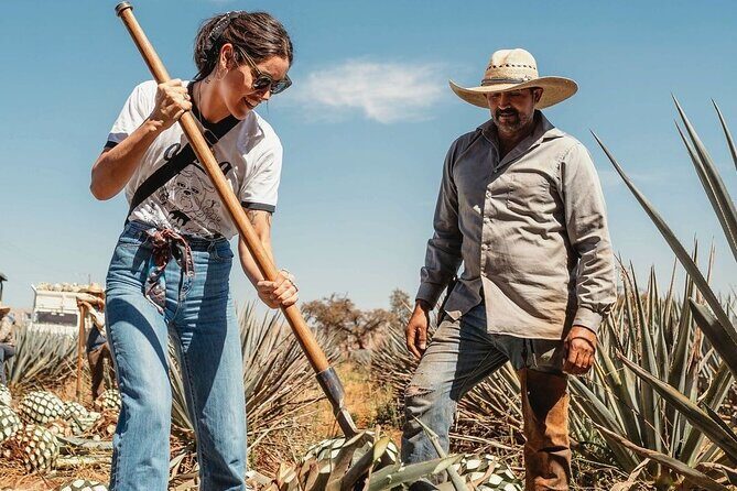 Private Tour to Tequila Ocho Distillery and the Town of Arandas - A Deep Dive Into the Itinerary