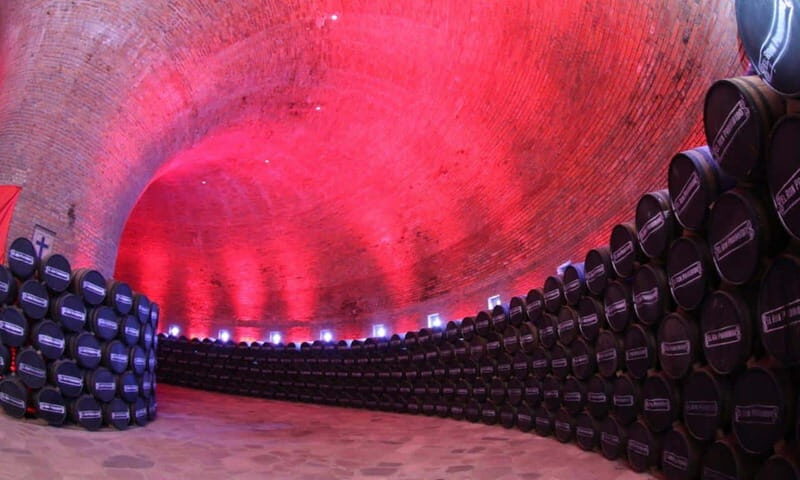 Private Tour to Tequilera Corralejo and Piramides Zone - A Closer Look at the Tour Experience