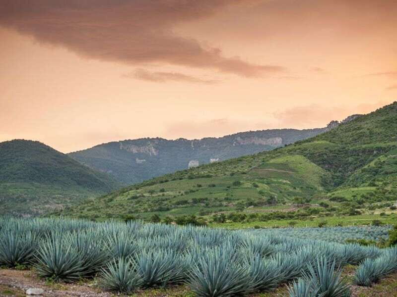 Private Tour to Tequilera Corralejo and Piramides Zone - Who This Tour Is Perfect For