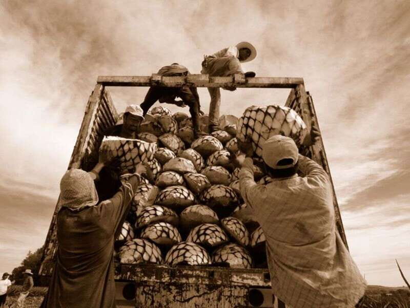 Private Tour to Tequilera Corralejo and Piramides Zone - FAQ