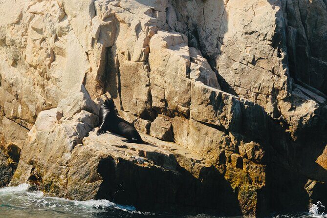 Private Tour to the Arch of Cabo San Lucas by Glass Bottom Boat - Frequently Asked Questions