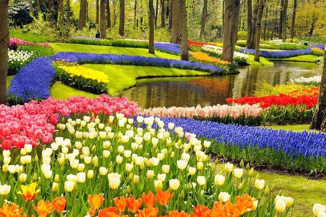 Private Tour to the Keukenhof and Tulip Fields - Tulip Fields and the Charm of the Surrounding Area
