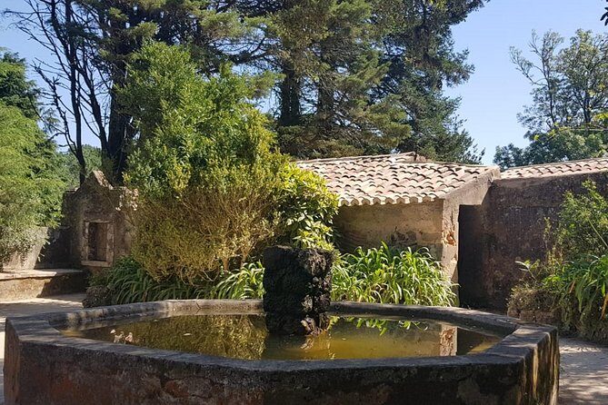 Private tour to the non-touristic Sintra - In-Depth Look at the Experience