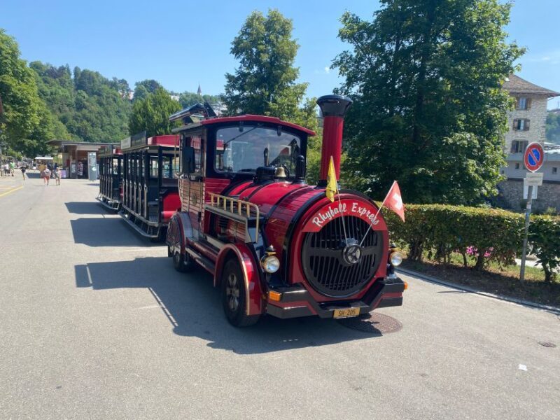 Private Tour to the Rhine Falls with Pick-up at the Hotel - Key Points