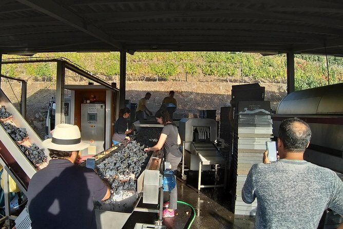 Private Tour to the rock art of Côa Park, Pinhão and Winery - Final Thoughts