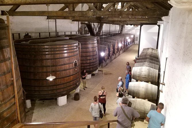 Private Tour to the rock art of Côa Park, Pinhão and Winery - FAQ