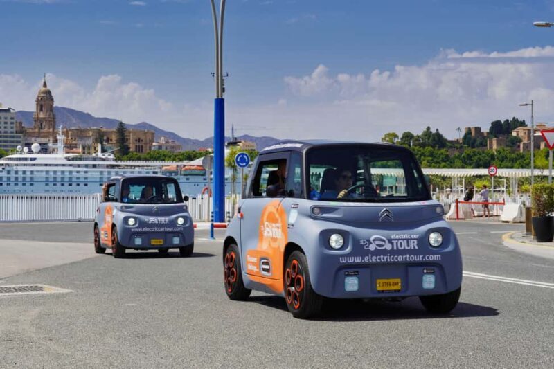 Private Tour to the Roman Villa of Antiopa in Malaga by Electric Car - Practical Details and Considerations