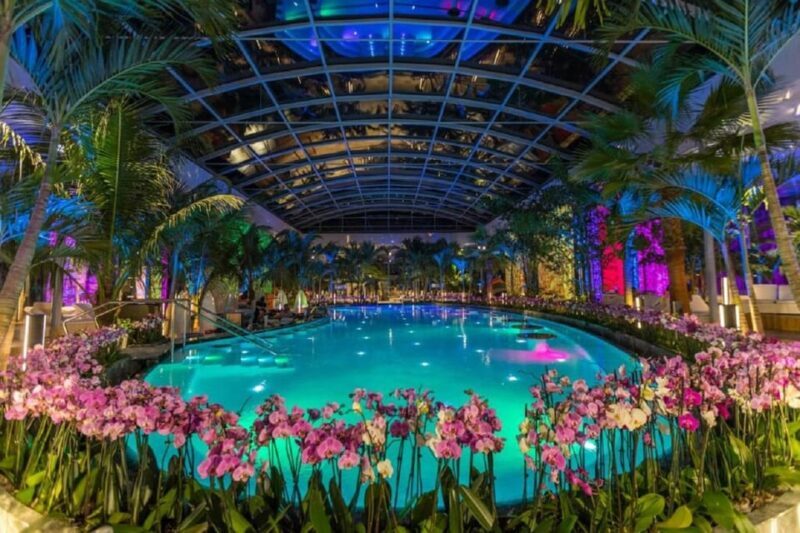 PRIVATE TOUR to Therme Bucuresti  Entrance Ticket included - Discovering Therme Bucuresti: What to Expect
