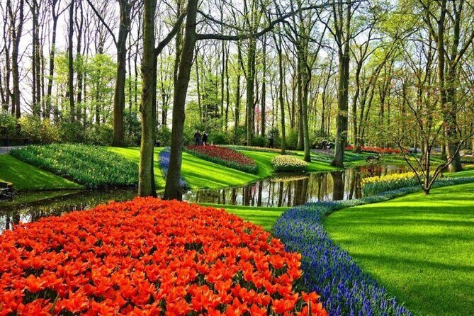 Private Tour to Tulips, Keukenhof, Windmills & Cheese Farm - The Sum Up