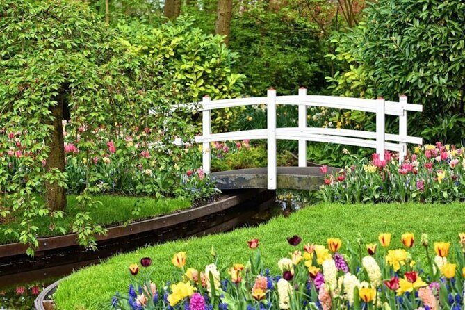 Private Tour to Tulips, Keukenhof, Windmills & Cheese Farm - FAQ