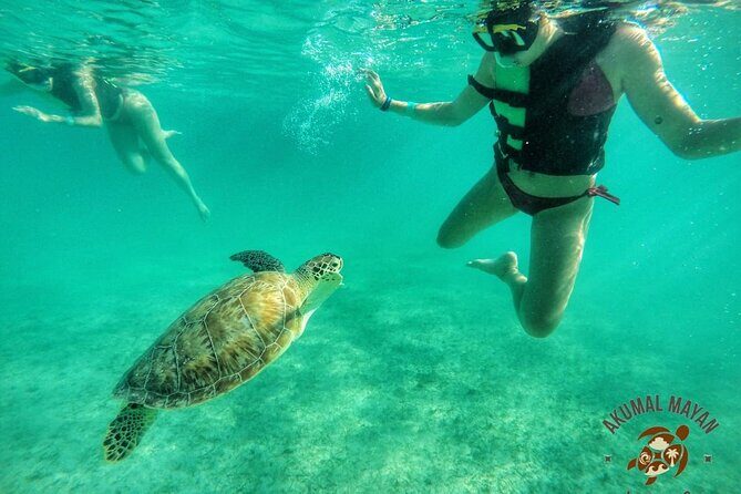 Private Tour to Tulum and Swimming with Turtles in Akumal - Who Should Consider This Tour?