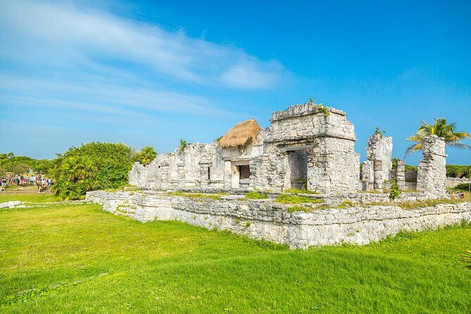 Private Tour to Tulum Ruins, Swim with turtles and Cenote Cave - Who Will Love This Tour?