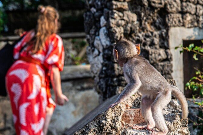 Private Tour to Uluwatu and Kecak Fire Dance and Jimbaran Bay - The Sum Up