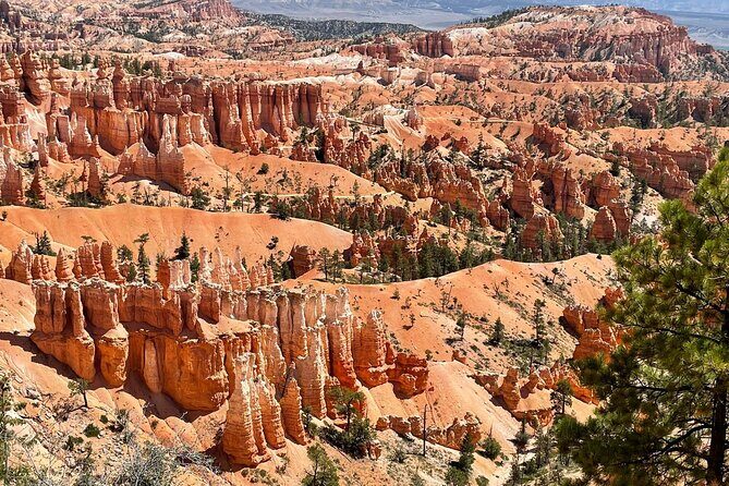 Private Tour to Zion National Park from Las Vegas - Key Points