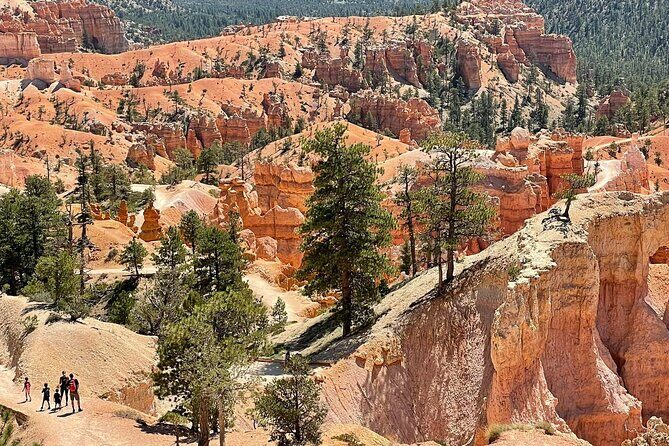Private Tour to Zion National Park from Las Vegas - The Sum Up