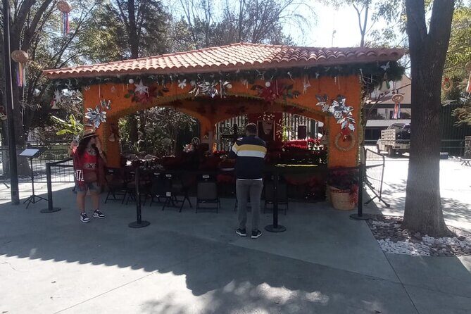 Private Tour Tonala Chapala Vicente Fernandez and Ajijic - Who Should Consider This Tour?