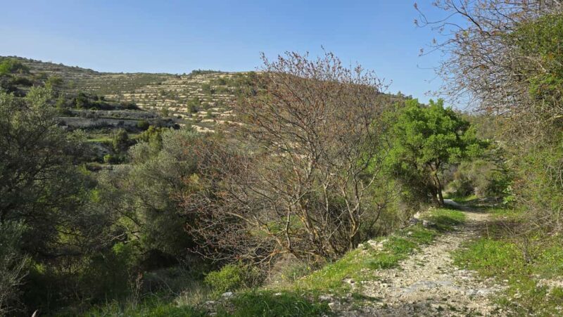 PRIVATE TOUR | Troodos Mountain: Waterfall, Villages & Lunch - Practical Tips for Enjoying the Tour
