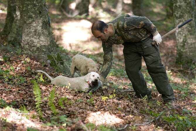 Private Tour: Truffle-Hunting Experience from Positano with Lunch - Key Points