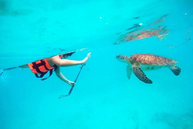 Private Tour Tulum, Reef & Cenote-Cavern from Playa del Carmen - The Itinerary in Detail