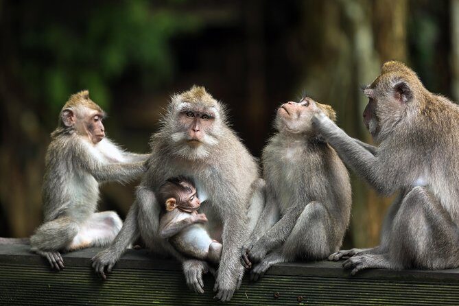 Private Tour: Ubud and Tanah Lot Day Tour - Introduction