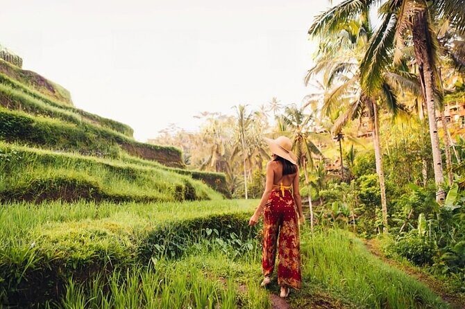 Private Tour Ubud: Swing at Rice Field with Temple and Waterfall - An Overview of the Experience