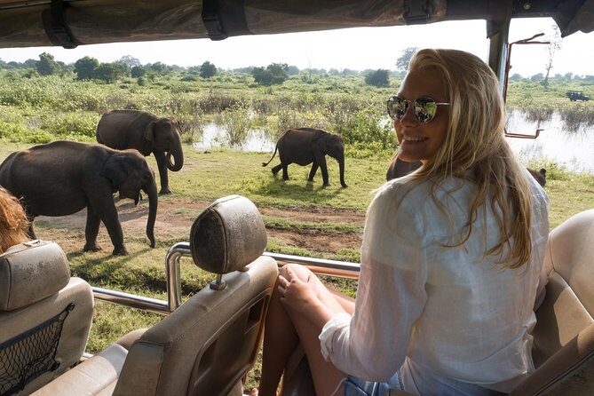 Private Tour: Udawalawe National Park Safari - What Travelers Say