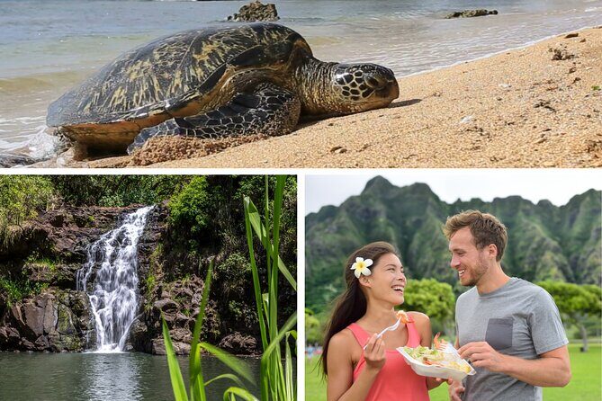 PRIVATE TOUR-Ultimate Circle Island Tour of Oahu - What Makes This Tour Stand Out