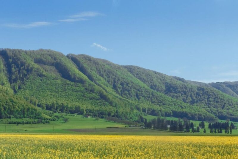 Private tour Underground Wonders & Vineyard Delights - Exploring Romania’s Hidden Treasures: Underground Wonders & Vineyard Delights