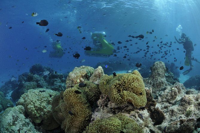 Private Tour: Underwater Scooter Bora Bora - Is It Worth It?