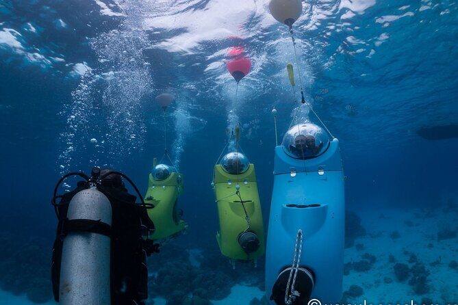 Private Tour: Underwater Scooter Bora Bora - Final Thoughts