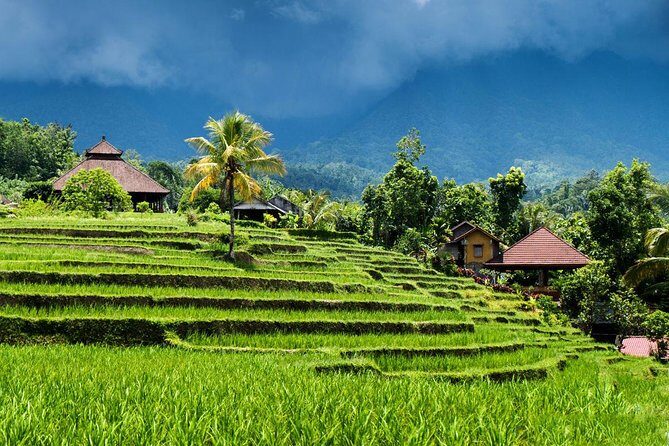Private tour- UNESCO rice terraces, Ulundanu Beratan, Batukaru, Tanah lot temple - Practical Details and Why They Matter