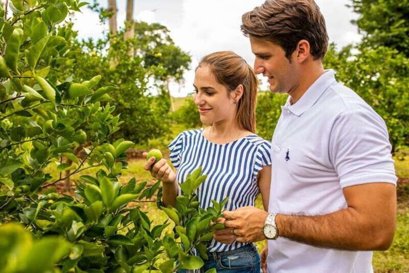 Private Tour Uxmal Land Rover Vintage safari & Mayan brunch - FAQs