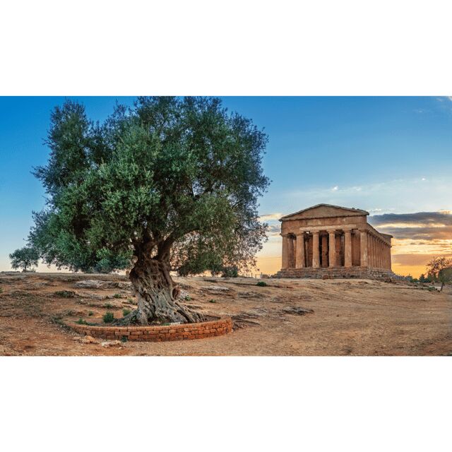 Private Tour Valley of the Temples and Scala dei Turchi - A Practical Guide to the Private Valley of the Temples and Scala dei Turchi Tour