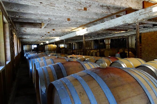 Private Tour: Vancouver Half Day Wine Tasting Tour - Final Thoughts