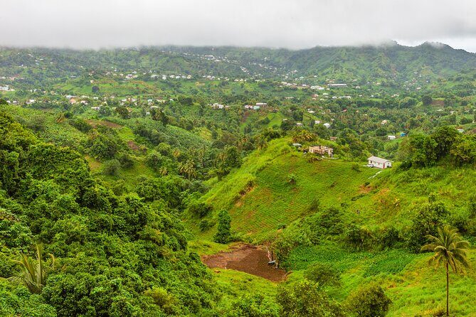 Private Tour Vermont Nature Trail - Exploring the Itinerary: From City Streets to Rainforest Trails