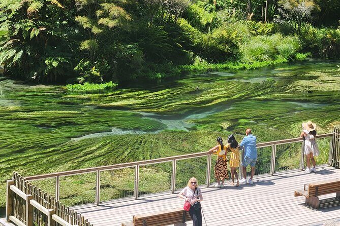 Private Tour WaiOtapu & Huka Falls & Blue springs from Auckland - Key Points