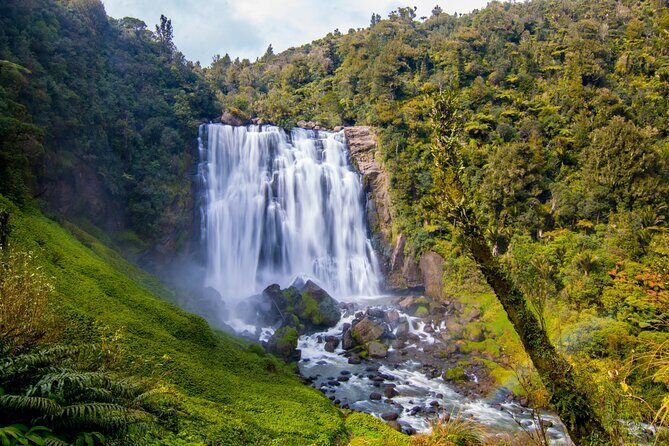 Private Tour Waitomo Caves from Auckland - FAQs
