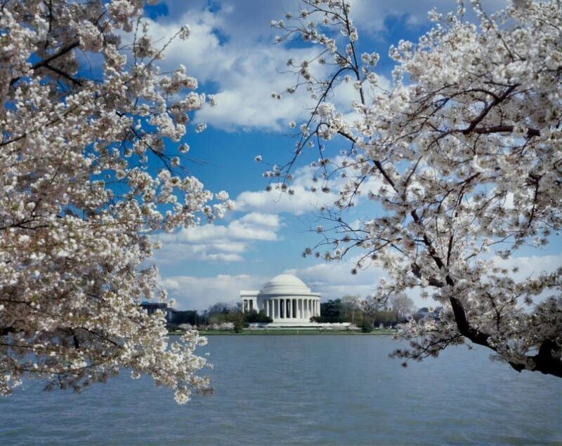 PRIVATE TOUR Washington DC: Private Tour with Luxury SUV 6h - An In-Depth Look at the Private SUV Tour Experience
