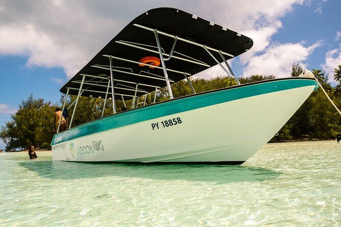 Private tour whale watching and snorkeling in Moorea - FAQs