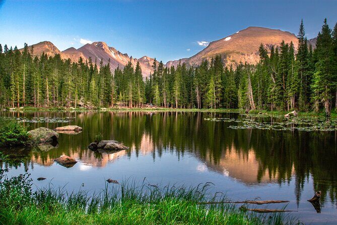 Private Tour Wildlife in Rocky Mountain National Park - An Introduction to the Rocky Mountain Wildlife Tour