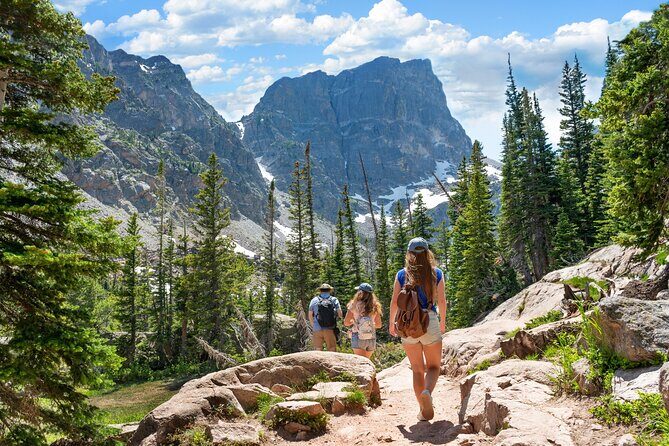 Private Tour Wildlife in Rocky Mountain National Park - Analyzing the Value and Practicalities
