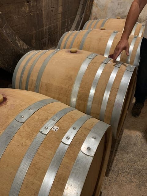 Private tour: Wine and tapas, experience real Mallorca - Practical Considerations and Tips