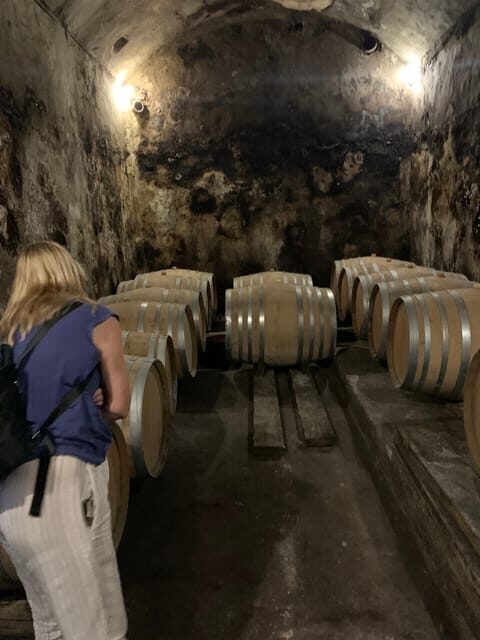 Private tour: Wine tasting, experience real Mallorca - Why This Tour Works Well for Certain Travelers