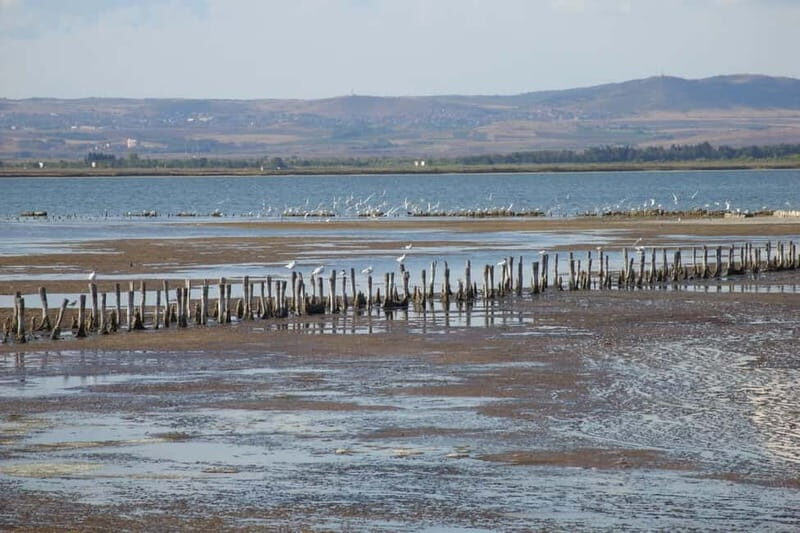 Private Tour: Wine Tasting Tour, Mud Baths, History & more - Who Will Love This Tour?
