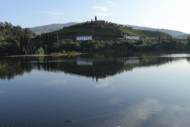 Private tour with 3 wineries and viewpoint - Starting the Tour: Comfort and Convenience