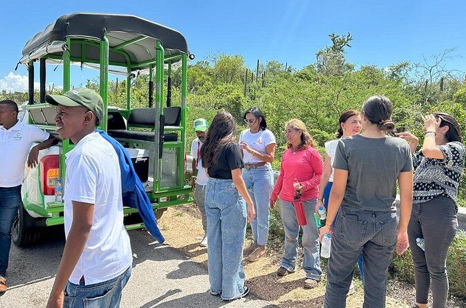 Private Tour with Crocodile Sighting in Lake Enrriquillo - The Sum Up