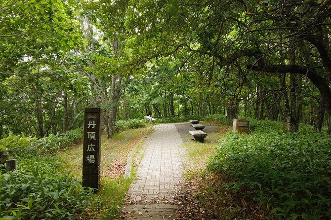 Private Tour with Kushiro Marsh, Tancho, and Local Market - Final Thoughts