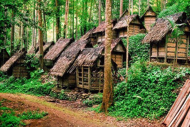 Private tour with lunch: Jakarta to Baduy tribal - Authenticity in Action: A Review of the Private Jakarta to Baduy Tribal Tour