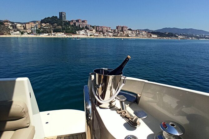 Private Tour with Navigation and Visit to Alella Vineyards - An Overview of the Tour Experience